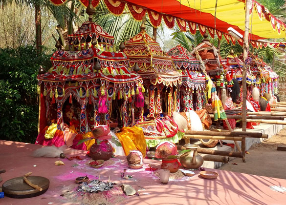 Panchavati Seva Public Charitable Trust